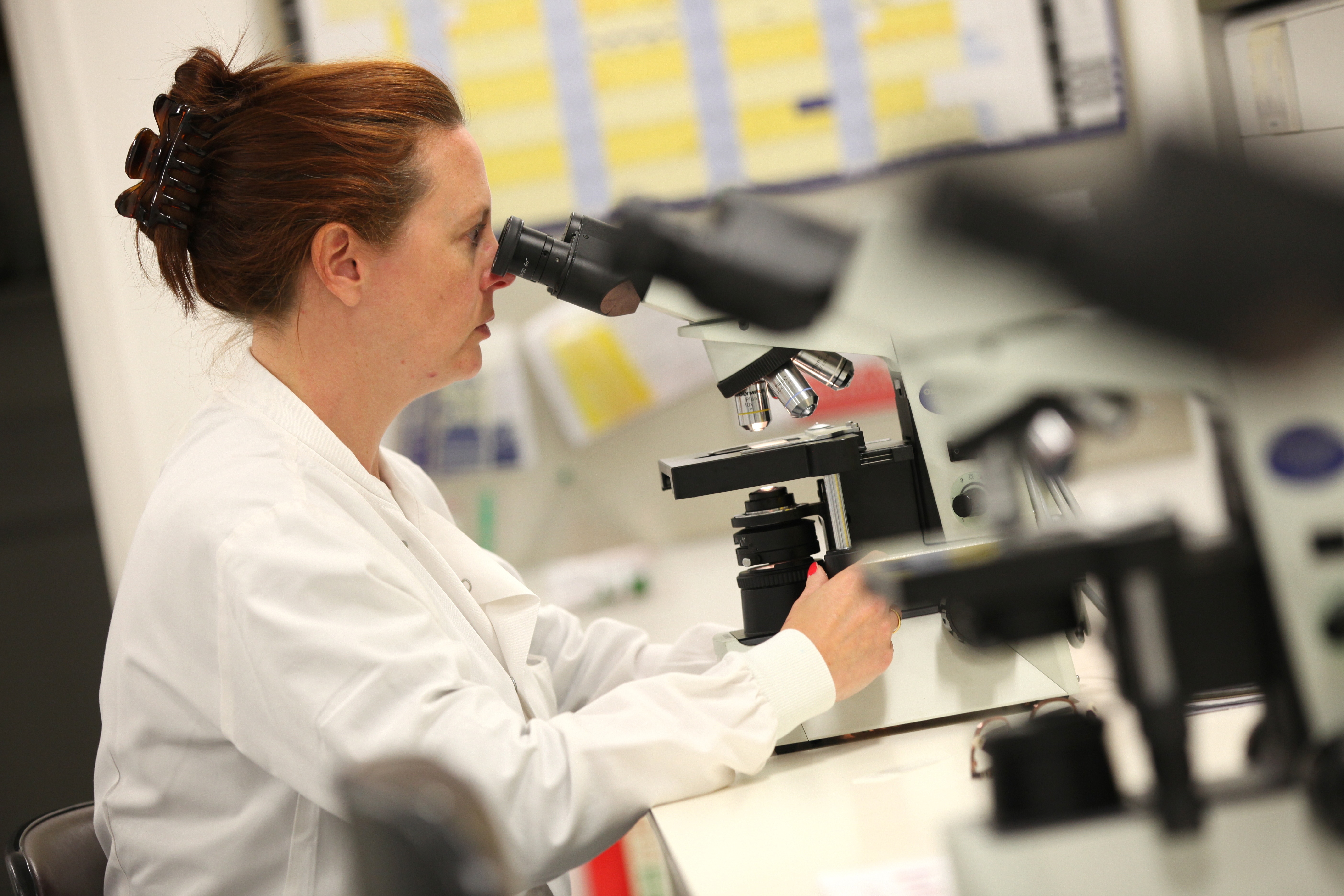 LSTM’s Clinical Diagnostic Parasitology Laboratory (CDPL) receives UKAS ...