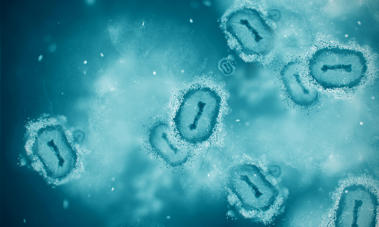 New study finds that monkeypox virus can spread widely within ...