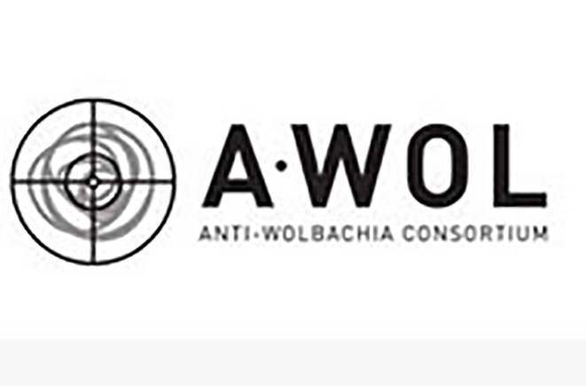 AWOL secures additional funding for drug development | LSTM