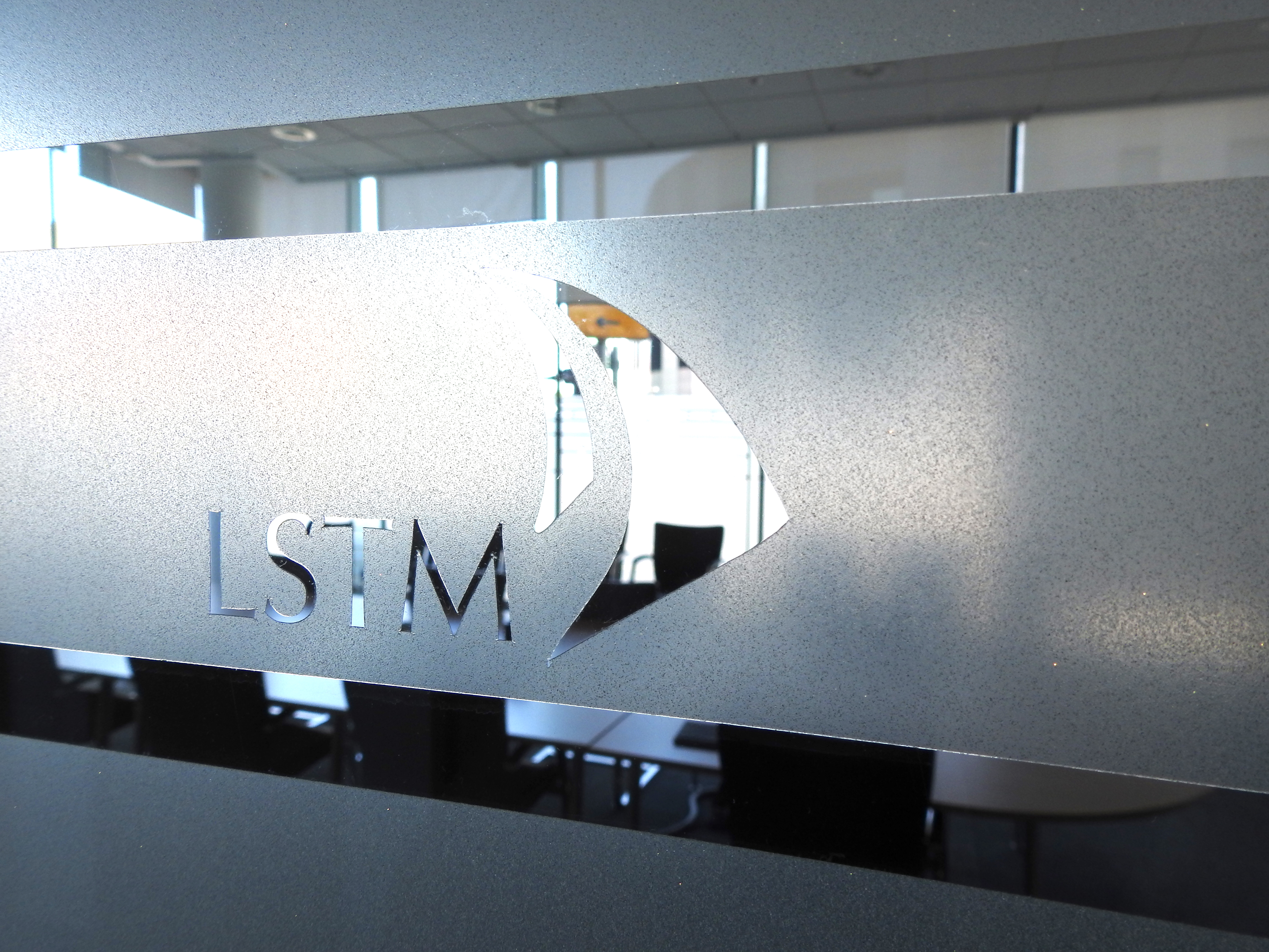 Who we are and what we do | LSTM
