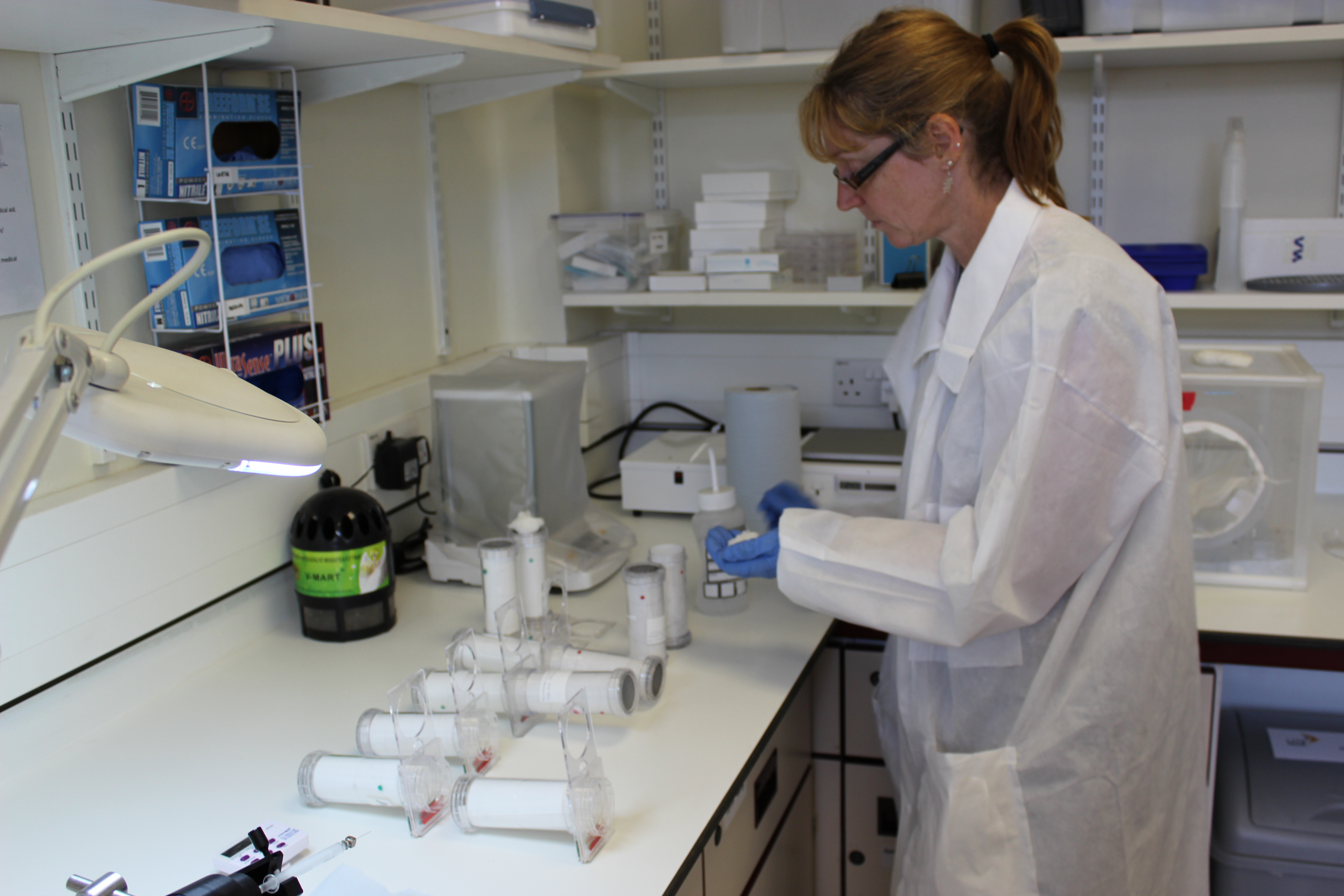 Evaluating the performance of new products against insecticide ...