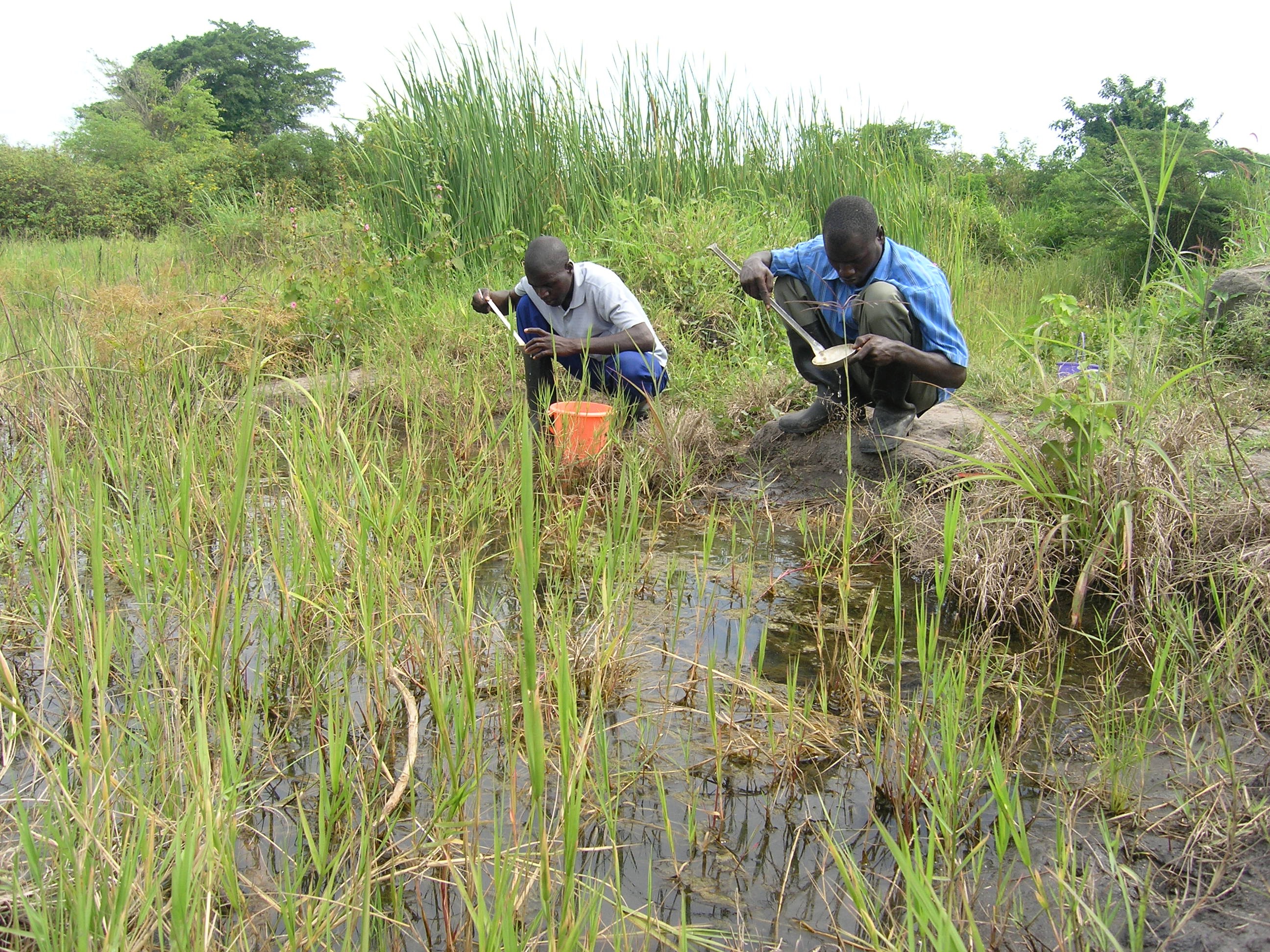 Controlling outdoor biting populations of malaria vectors | LSTM