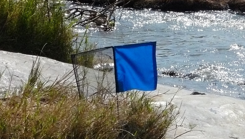 Targeting Tsetse | LSTM