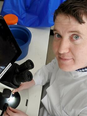 Daniel Southern | LSTM