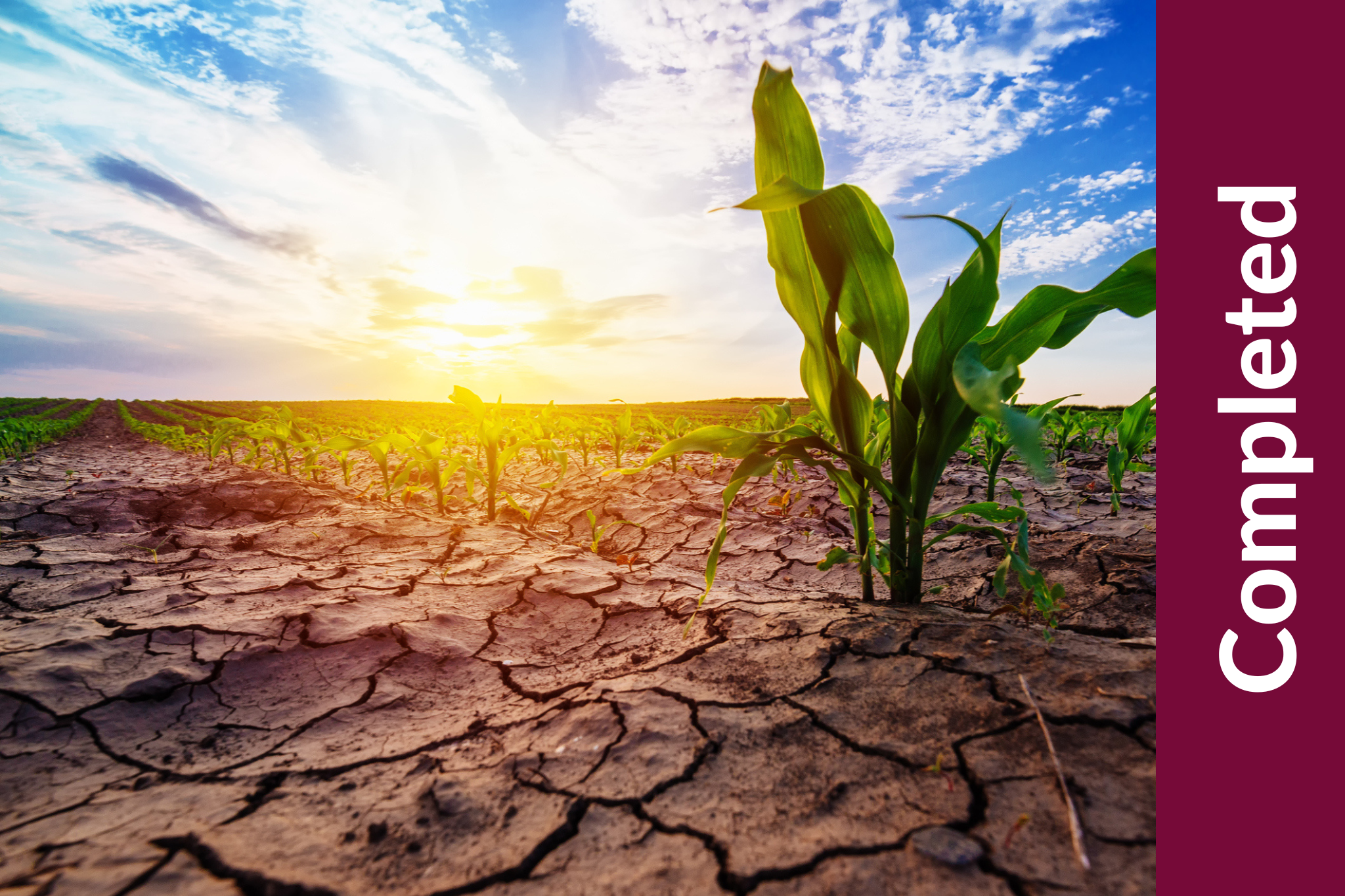 CEPHaS: Research Capacity Strengthening in Conservation Agriculture | LSTM