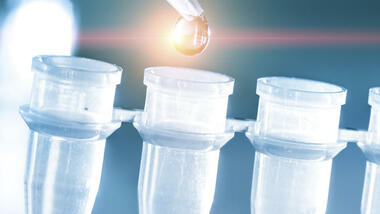 Joshua Longbottom | LSTM