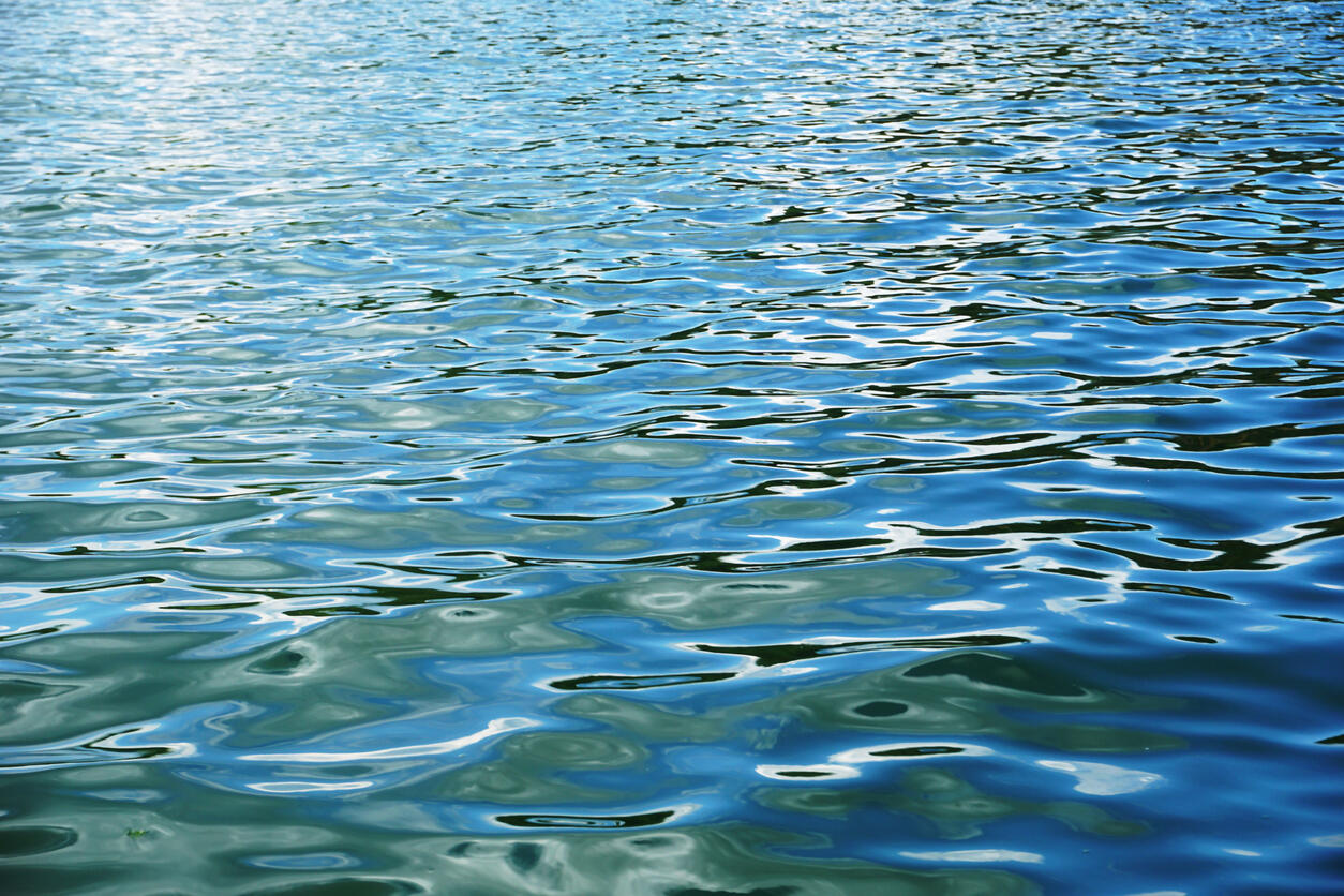 Reporting system for ‘swimmer’s itch’ could help prevent nuisance skin ...