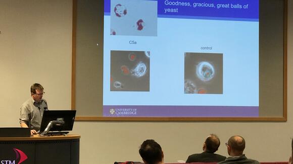 Seminar/lecture | LSTM